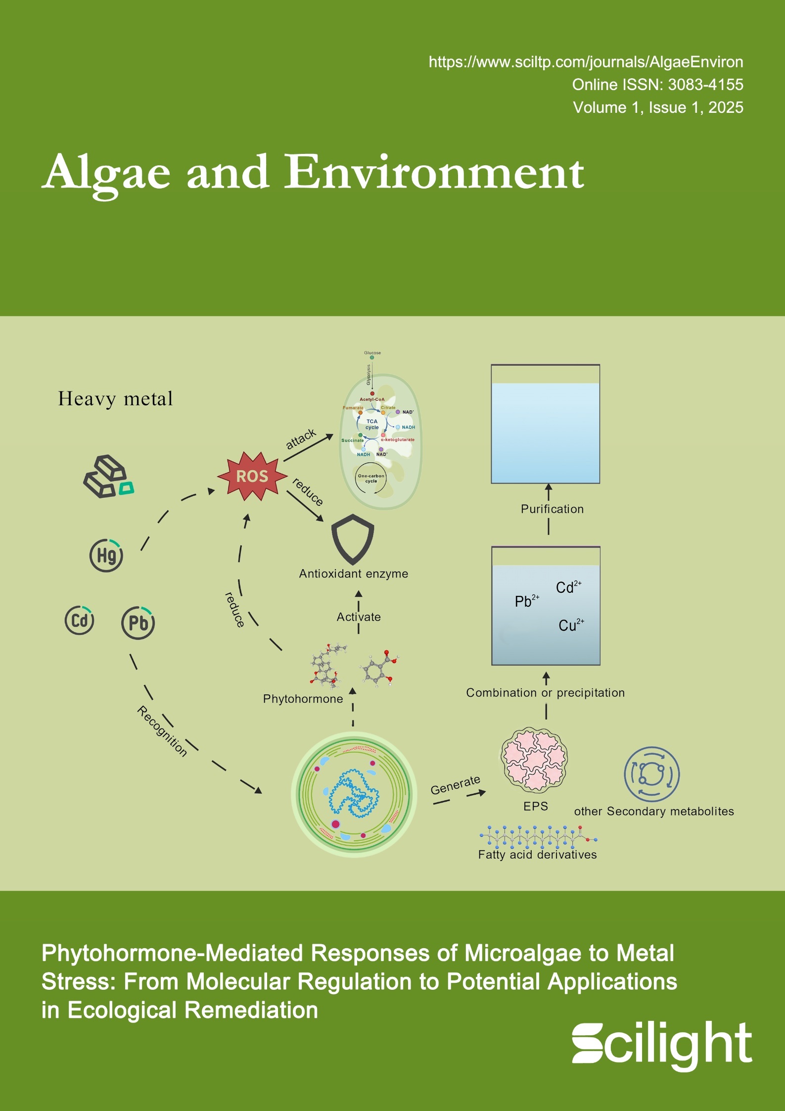 Algae and Environment