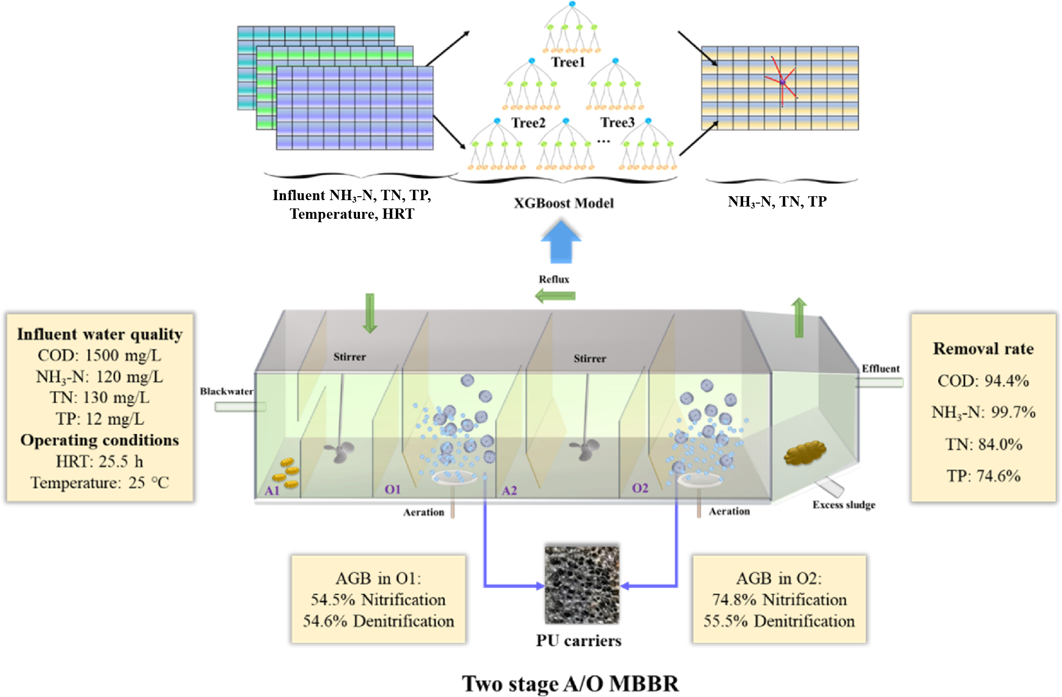 Moving bed biofilm reactor for blackwater treatment: insights into pollutant removal, microbial ...
